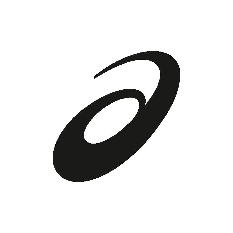 Asics Logo Iron-on Sticker (heat transfer) – Customeazy