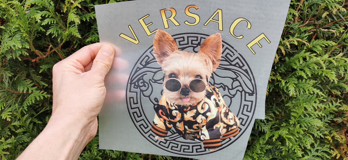 Versace Dog Big Color Logo – Customeazy