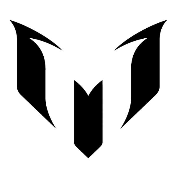 Leo Lionel Messi logo DIY Iron-on Sticker (heat transfer) – Customeazy