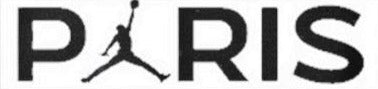 Paris x Jordan Logo Iron-on Sticker (heat transfer) – Customeazy
